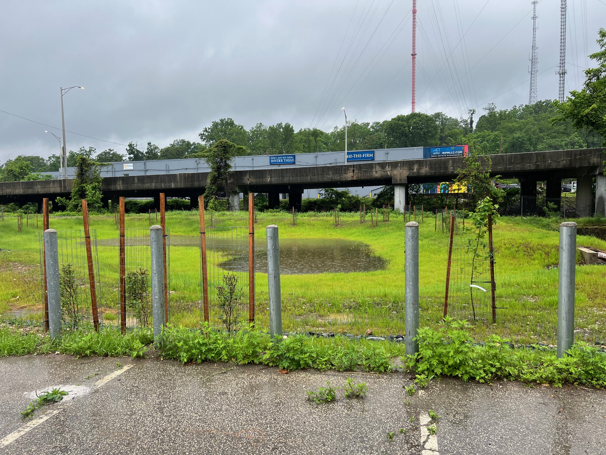 Constructed Habitat Wetland at Union Collective – Friends of The Jones ...