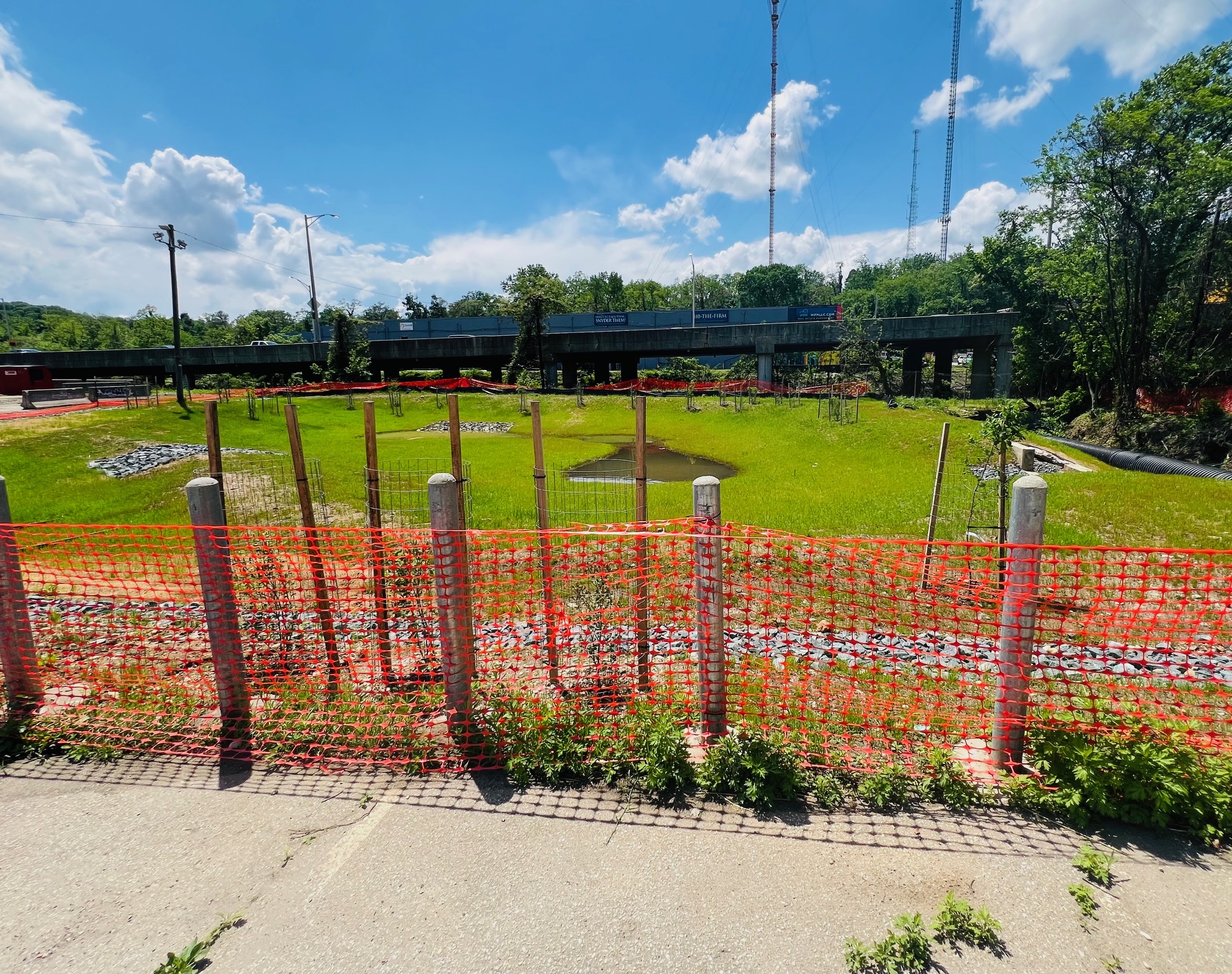Constructed Habitat Wetland at Union Collective – Friends of The Jones ...
