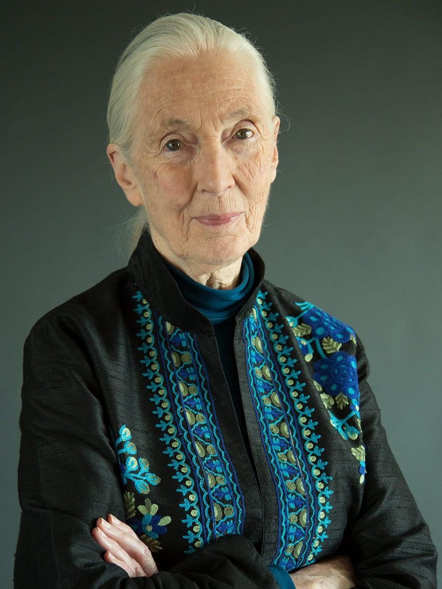 Thanksgiving 2025 Tributes to Environmentalists Jane Goodall and Robert ...